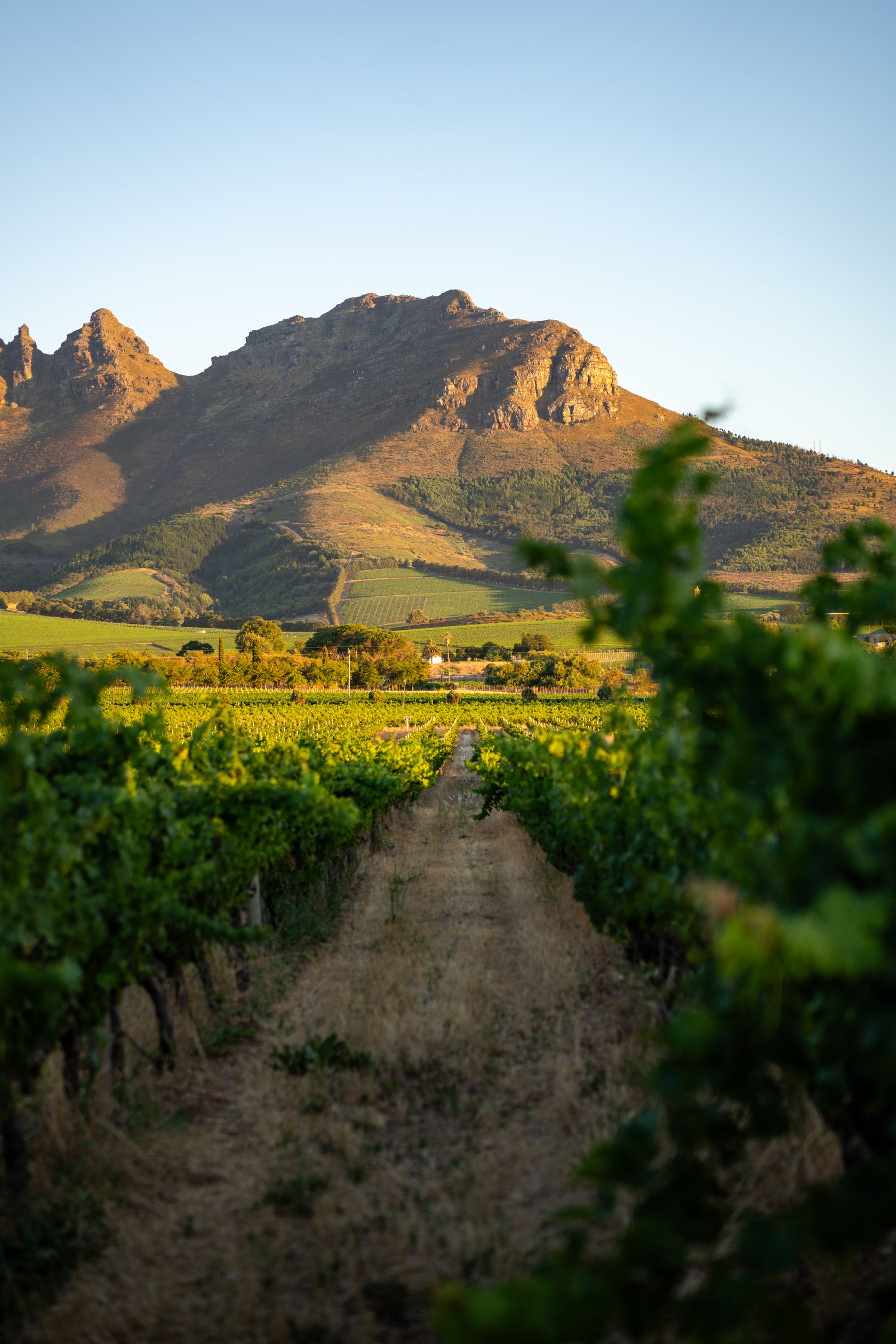 Eikendal – Caves de France